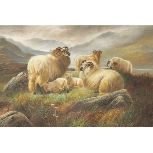 WILLIAM PERRING HOLLYER. (1834-1932) OIL ON CANVAS. Sheep resting in a ...