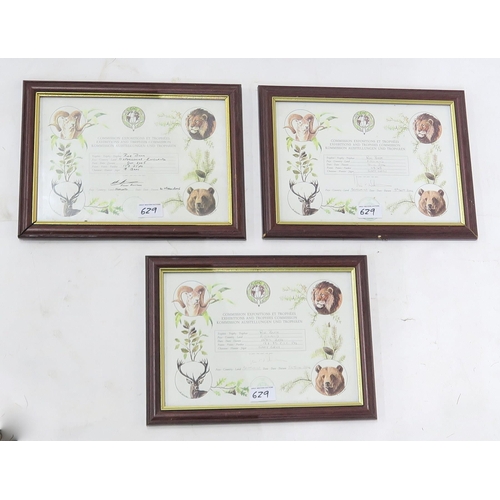 TAXIDERMYThree roebuck shoulder mounts on stained oak shield plaques ...