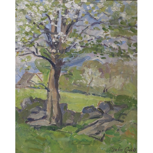 FLORENCE ST JOHN CADELL (SCOTTISH 1877-1966)BLOSSOM TIMEOil on panel ...
