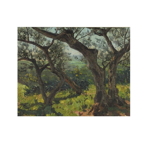 André Delacroix (French, 1878-1934) - An Olive Grove, oil on board ...