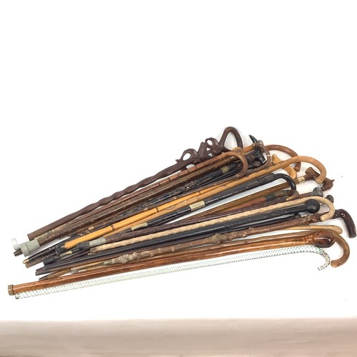 Comprehensive collection of walking canes, various styles and ages ...