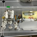 Collection of ceramics to include Queen of Hearts Beswick Ware; Royal ...