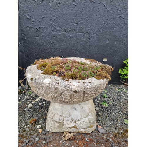 An unusual stone Urn of small Pedestal.
