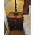 A Mahogany Veneered Bedside Locker of Neat Size. Height 69 x W 45 x D ...