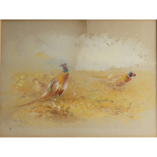 James Stinton (British, 1870-1961), Pheasants and hen in a clearing ...