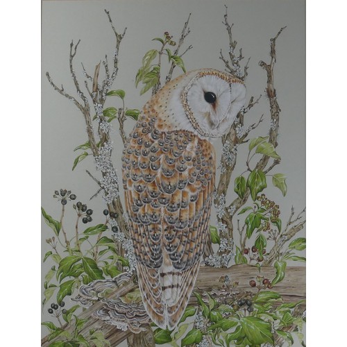J. Netley (20th century), Barn Owl - "Portrait of Puff", watercolour ...