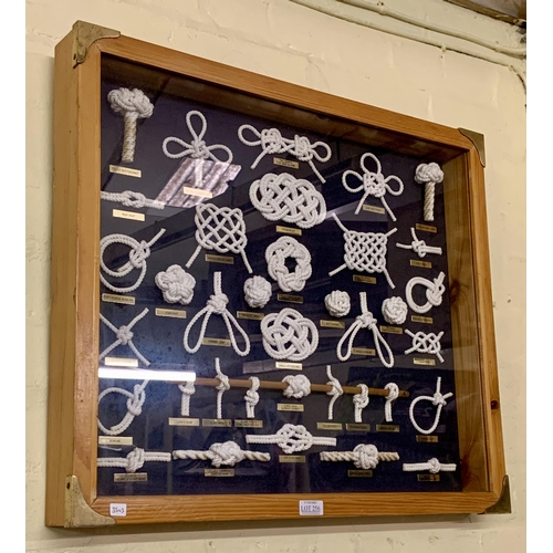 NAUTICAL DISPLAY OF SHIPS KNOTS IN A DISPLAY CASE