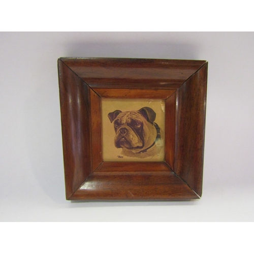 GEOFF BERRY (xx): A monotone watercolour of a bulldog, walnut framed, 7 ...