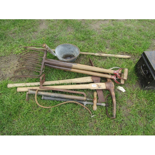 A bundle of mixed tools including beet forks