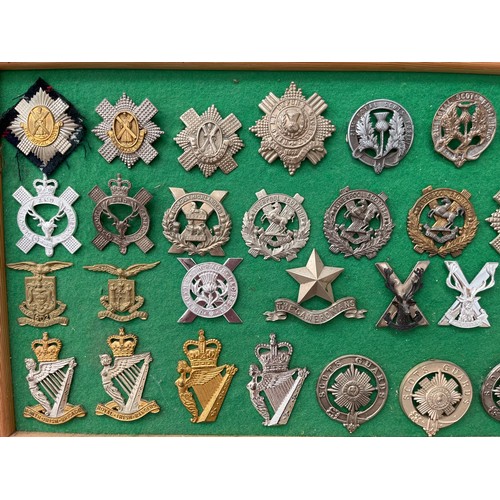 A framed display of British Regimental Piper’s badges including ...