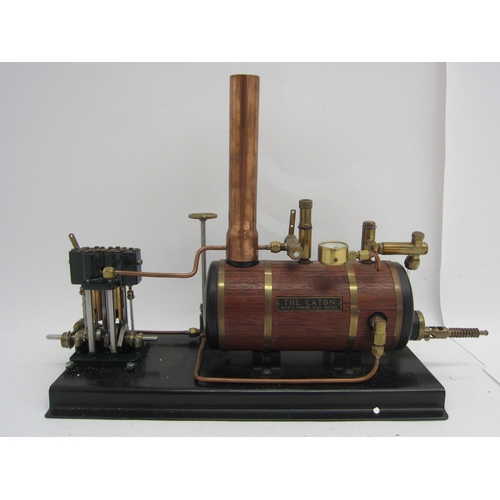 A Maxwell Hemmens live steam model of 'The Caton' twin steam engine ...