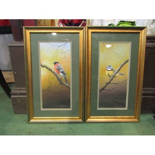 DAVID WALLER: Five oils on canvas panels of birds, Goldfinch, Nuthatch ...