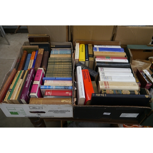Two boxes of mixed books, including travel books and guides, literature ...