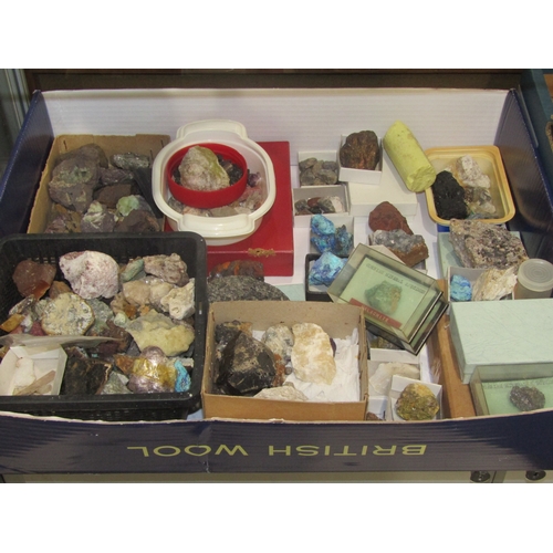 A quantity of stones, crystals and fossils etc.