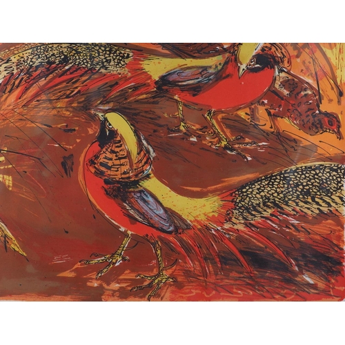 David Koster: a signed limited edition screen print, golden pheasants ...
