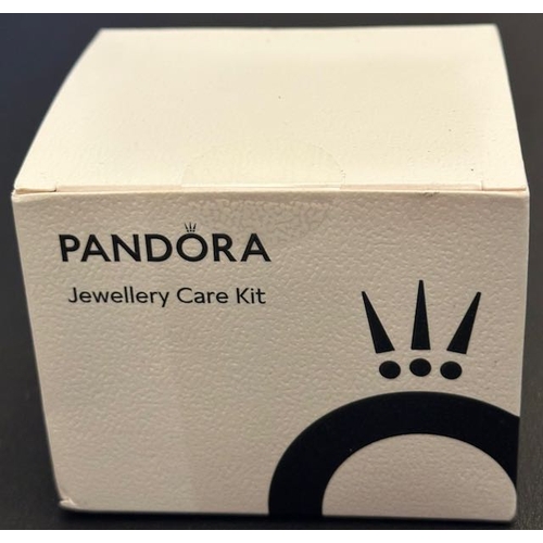 Pandora Jewellery Care Kit