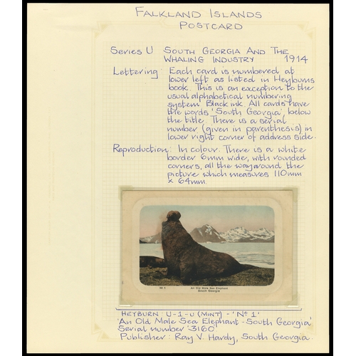 Falkland Islands : 1914 SOUTH GEORGIA & THE WHALING INDUSTRY picture ...
