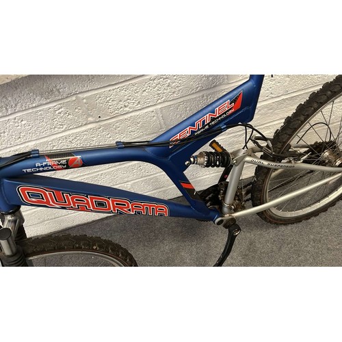 BLUE SENTINEL BICYCLE