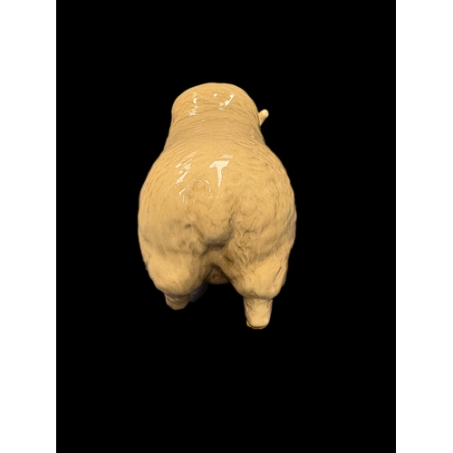 Rare Beswick Merino ram model 1917 Arthur Gredington L17cm x W8cm x ...
