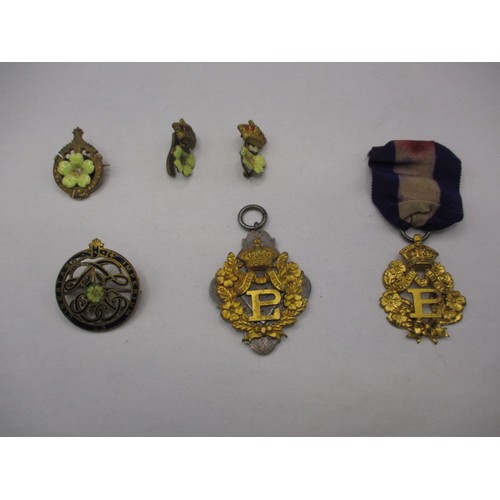 A parcel of 19th century Primrose League badges and medals. The ...