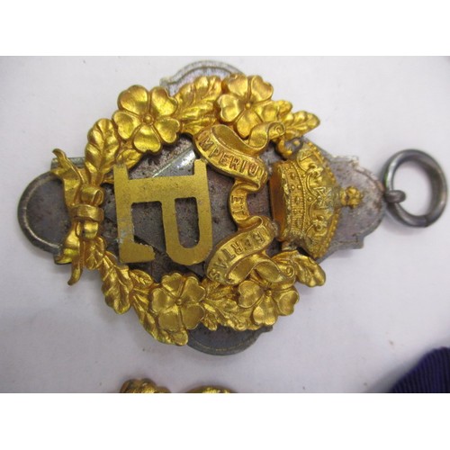 A parcel of 19th century Primrose League badges and medals. The ...