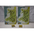 2x 3D 'Shell' Maps of Wales, 42x27cm and 2x 'AA' Badges