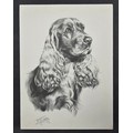 4 x Mike Sibley black & white prints of dogs. Great Dane. Old English ...