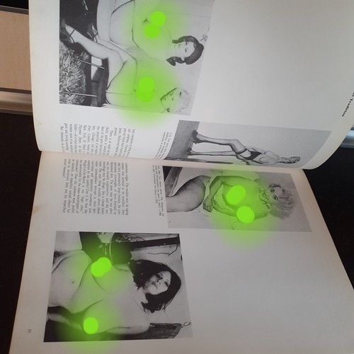 Vintage pin up book. Explicit adult content.