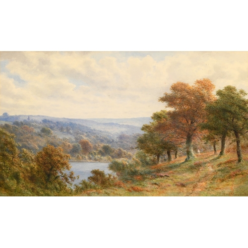 Roberto Angelo Kittermaster Marshall (1849-1923) - A Walk in the Woods ...