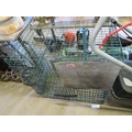 Marge magpie cage trap