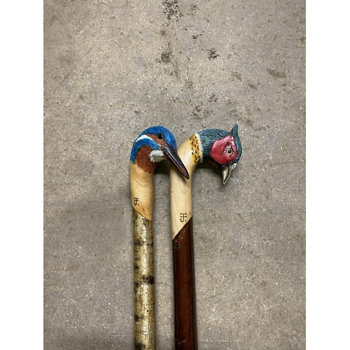 Two walking sticks