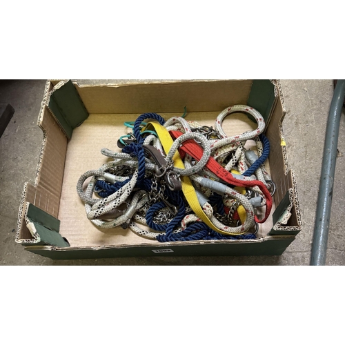 Box dog leads