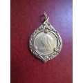1899 HALF SOVEREIGN WITH YELLOW METAL METAL SOFT MOUNT