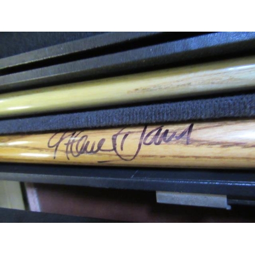 STEVE DAVIS SIGNED SNOOKER CUE AND ANOTHER