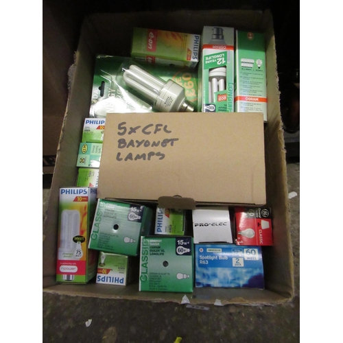 BOX OF LIGHT BULBS