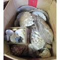 BOX OF SHELLS