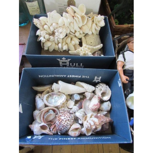 TWO BOXES OF SHELLS