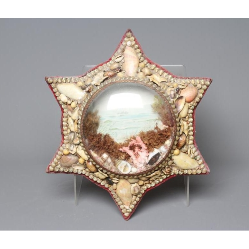A LATE VICTORIAN SHELLWORK "STARFISH" MARITIME DIORAMA, with central ...