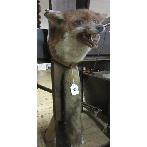 TAXIDERMY FOX HEAD AND BRUSH