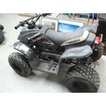 Pro Shark Quadzilla quad bike