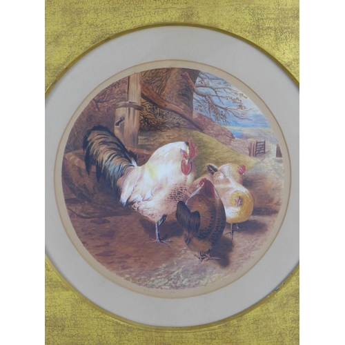 HELEN LAWRIE, untitled watercolour of chickens, signed and dated 1866 ...