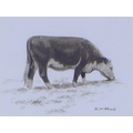 RODGER MCPHAIL (BRITISH, B. 1953), HEREFORD COW, watercolour. signed ...