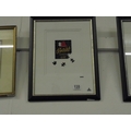 Framed Can Art by Martin Allan - Bass