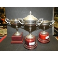 THREE SPORTING TROPHIES ON WOODEN STANDS