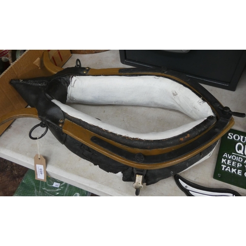 A small donkey collar