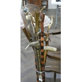 A bundle of assorted walking sticks