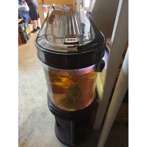 Impressive Fish Tank Set; A Room Divider Aquarium / Minjiang "Bullet ...