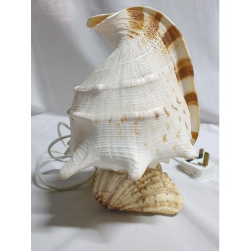Vintage Large Natural Sea Shell Table Lamp *Working when Lotted*