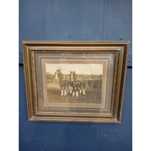 Two framed black and white farming prints {H 28cm x W 35cm and H 29cm x ...