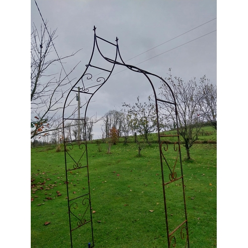 Good quality wrought iron rose arch {272 cm H x 141 cm W x 35 cm D}.